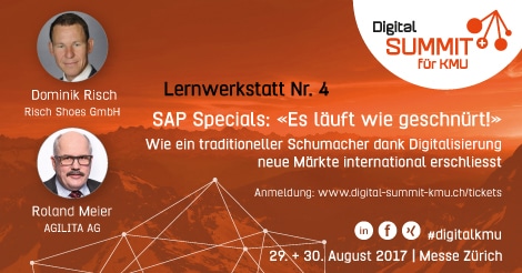 Lerwerkstatt_4_Risch_Meier - AGILITA