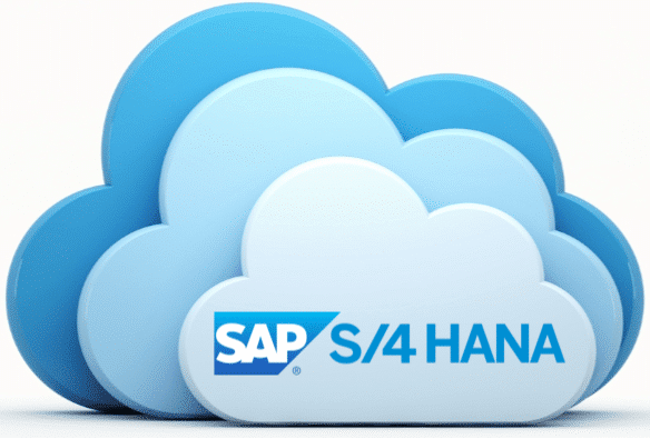 SAP S/4HANA Cloud Logo - AGILITA