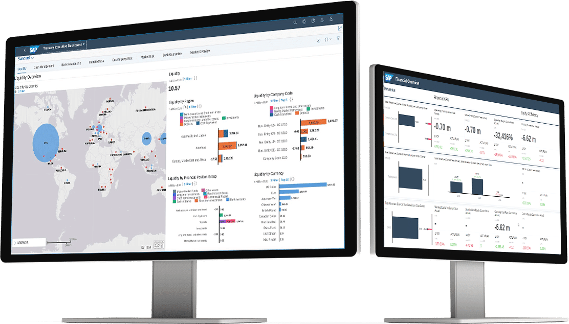 SAP Analytics - AGILITA