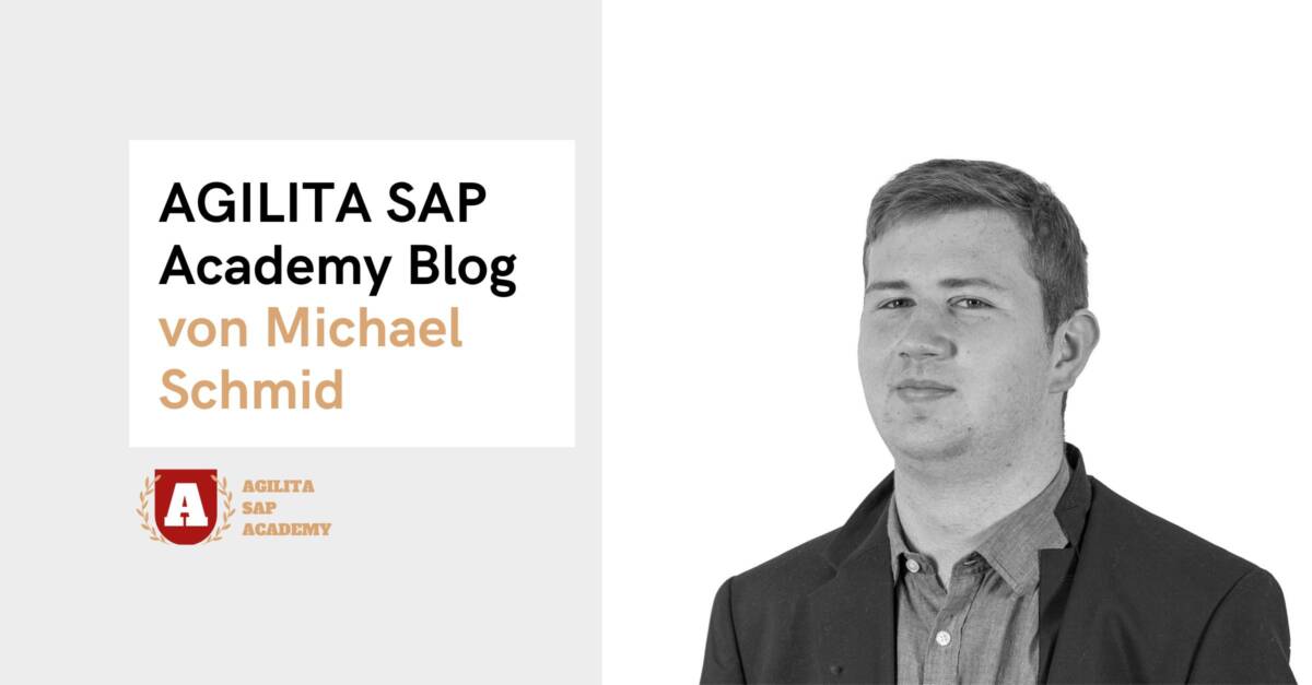Academy Blog 2.0: Michael Schmid - AGILITA